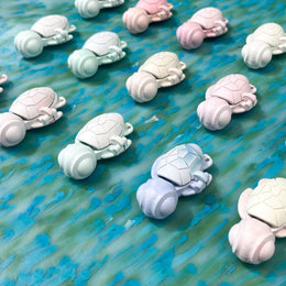 Calm buddi Turtle – FunkyFidgetsShop