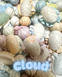 Calm Buddi Turtle – FunkyFidgetsShop