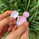 Calm Buddi Turtle – FunkyFidgetsShop